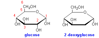 Untitled Document [david-bender.co.uk]